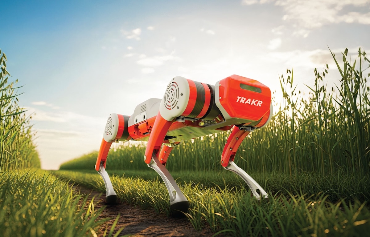 Engineering the green future: Addverb’s sustainable leap in automation ...